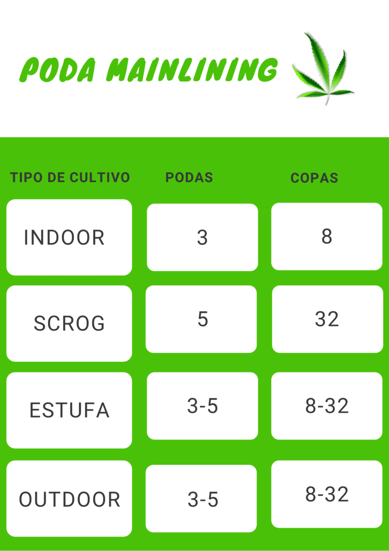 Comunidade de Cultivo de Cannabis Medicinal - Diário Medicinal